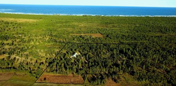 Ecosite - Ecosite IØNIALA